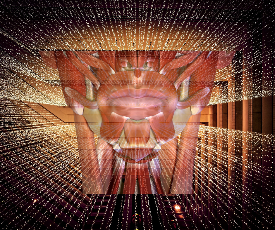 Home [www.myocoaches.com]